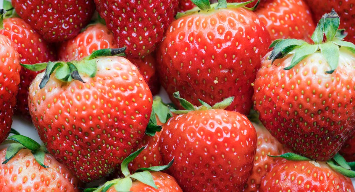 FX3 | Faith Fire Fury - Eat This.